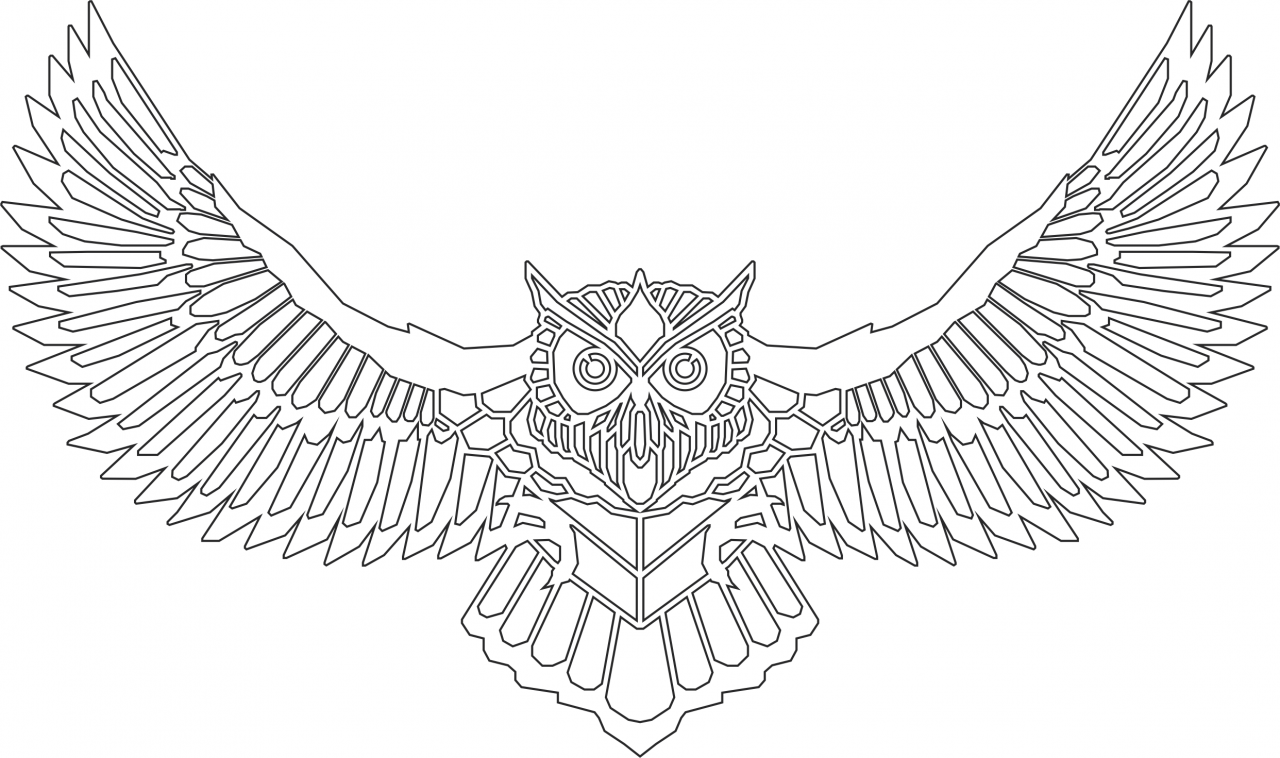 Búho de alas extendidas 2 - Stanser